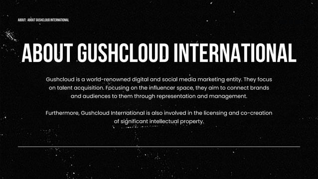 My Gushcloud Experience.pdf