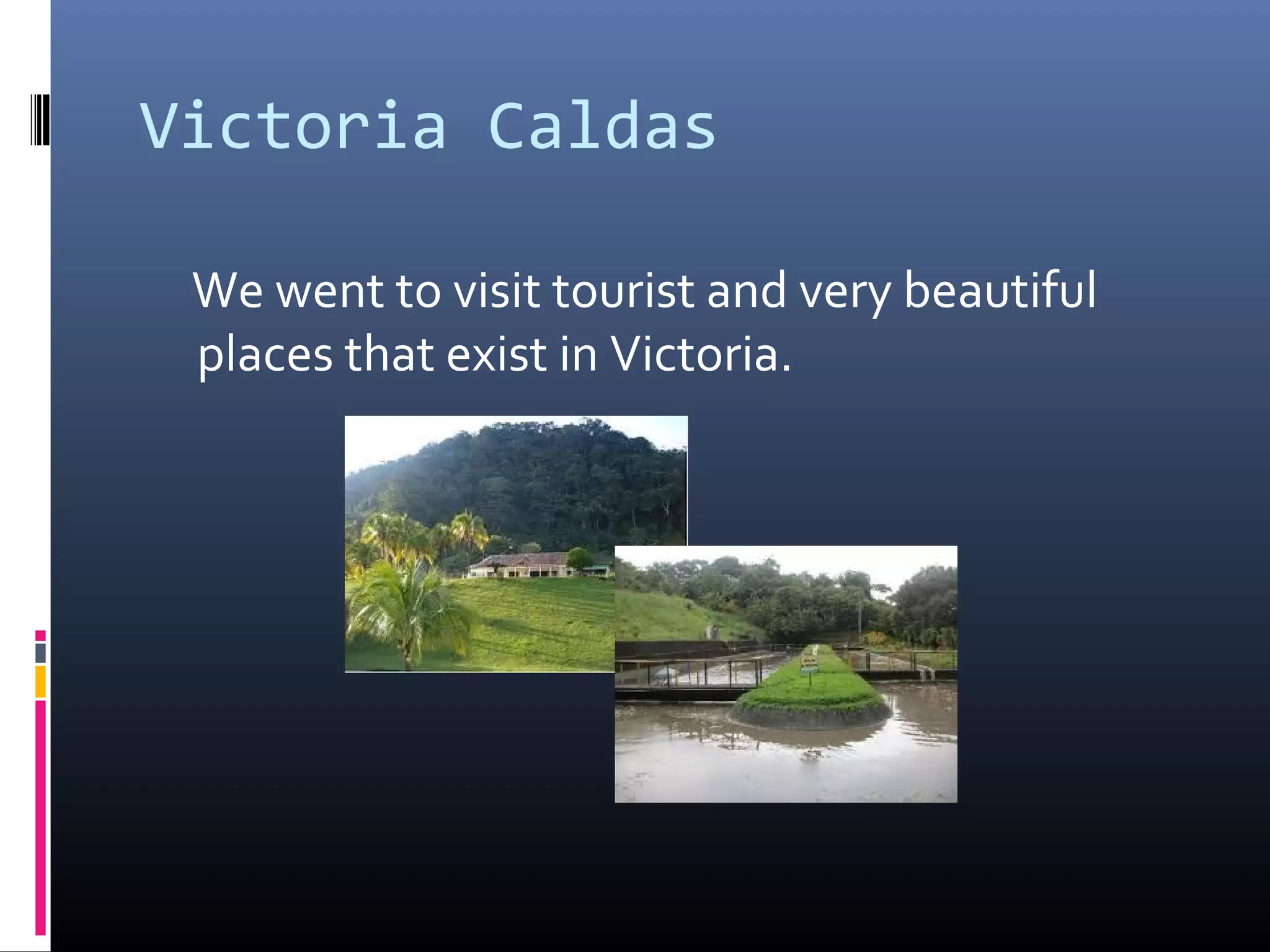 My holiday in victoria caldas | PPT | Food & Drink