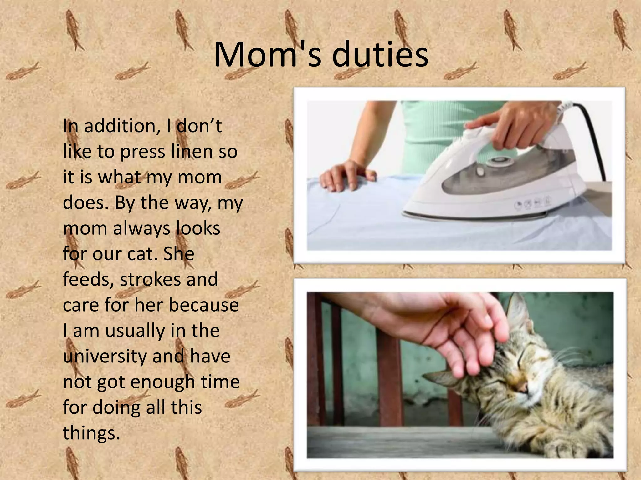 My household duties | PPTX