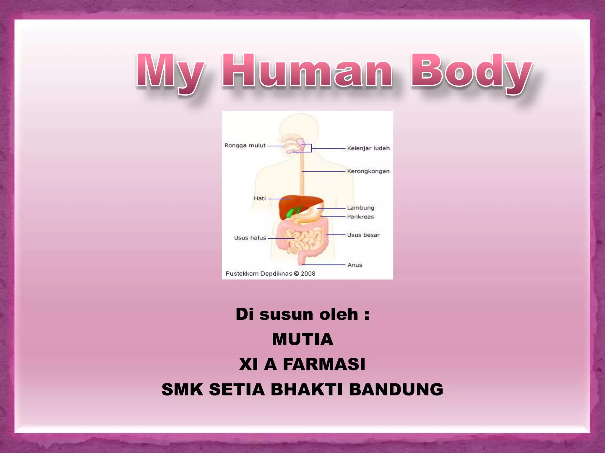 My human body | PPTX