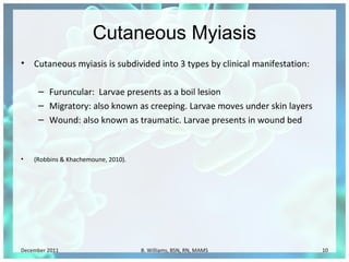 Myiasis: Nursing Intervention | PPS