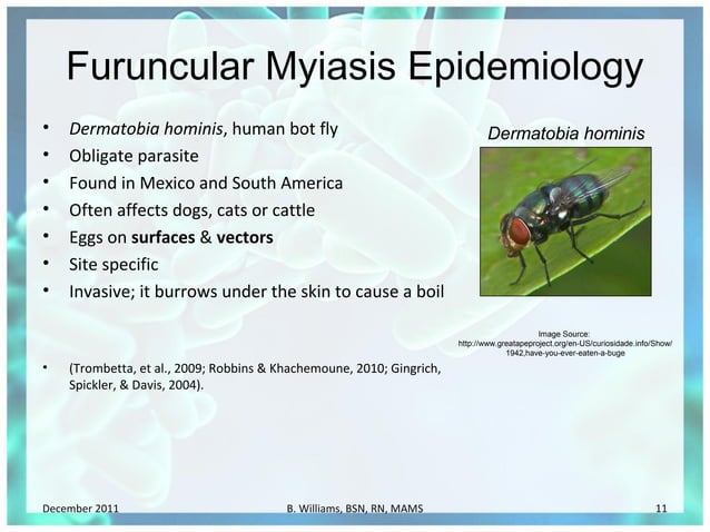 Myiasis: Nursing Intervention | PPS