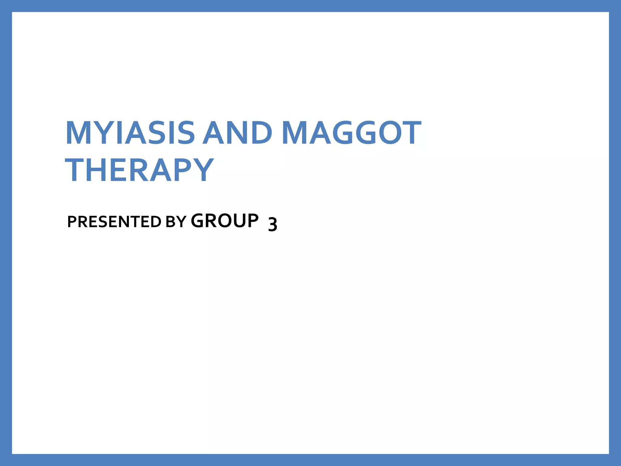 MYIASIS AND MAGGOT THERAPY.ppt