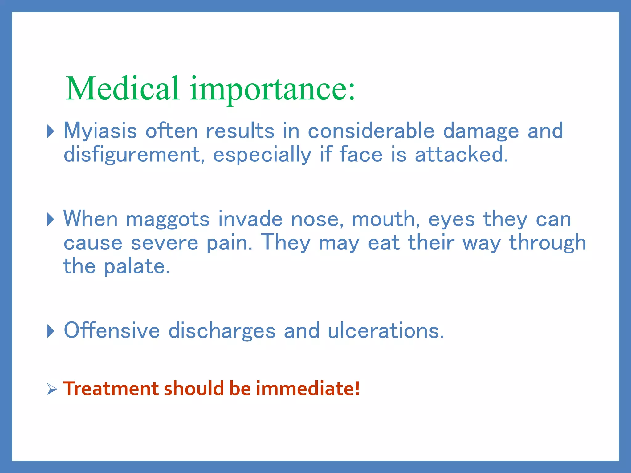 MYIASIS AND MAGGOT THERAPY.ppt