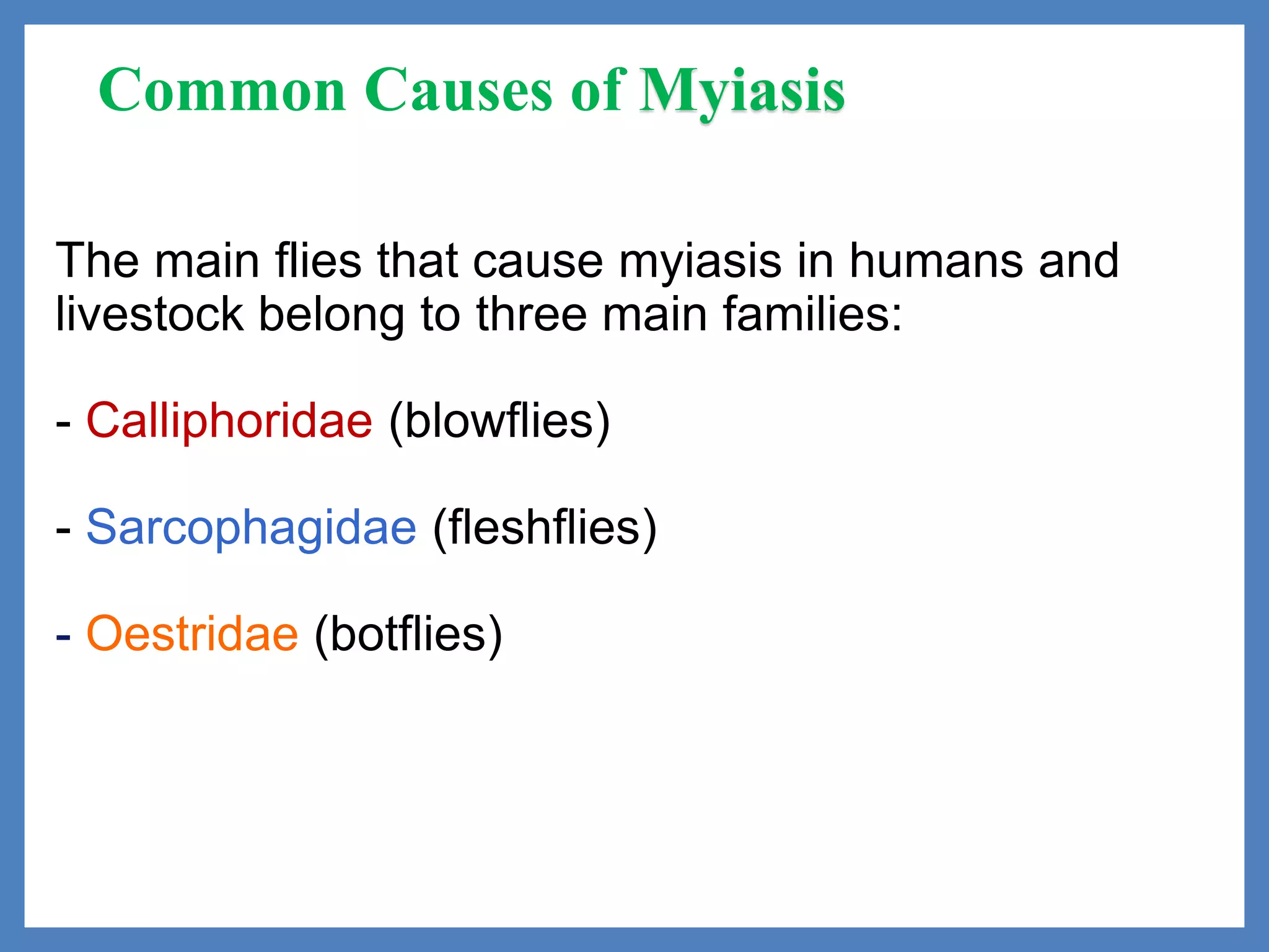 MYIASIS AND MAGGOT THERAPY.ppt