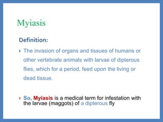 MYIASIS AND MAGGOT THERAPY.ppt