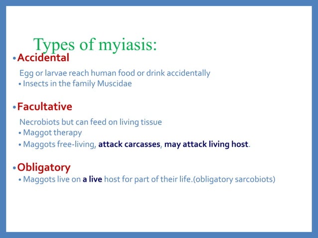 MYIASIS AND MAGGOT THERAPY.ppt