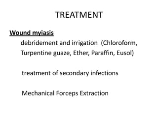 Myiasis by aseem | PPTX | Digestive Disorders | Diseases and Conditions