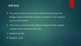 A case study on Myiasis | PPTX