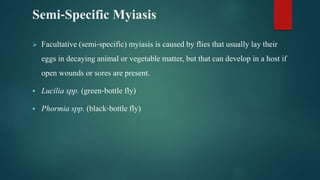 A case study on Myiasis | PPTX