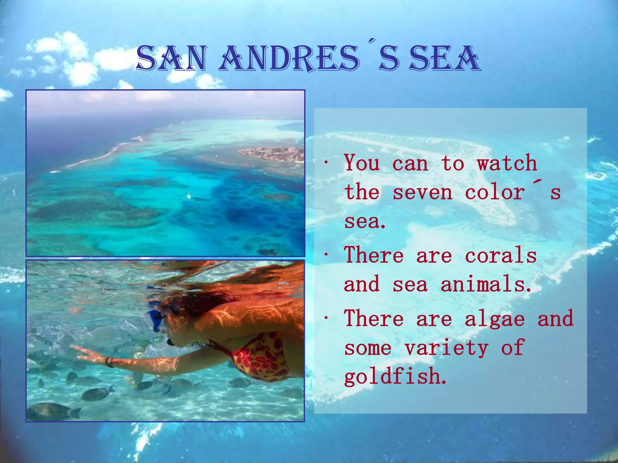 My ideal vacation 1 | PPTX