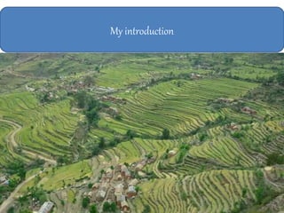 My introduction presentation | PPTX