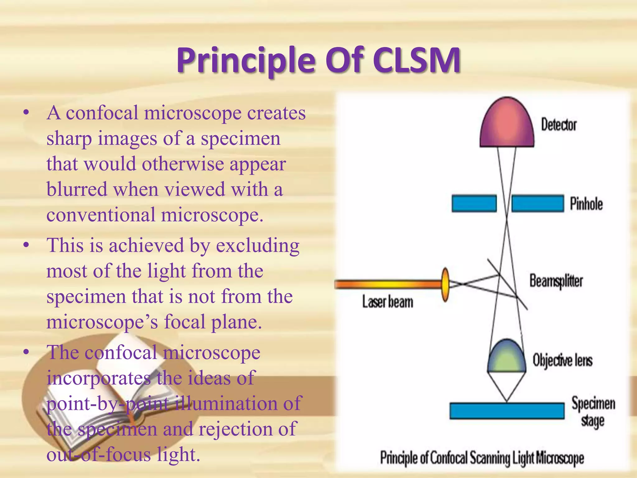 JOURNAL CLUB: NON INVASIVE IN-VIVO CONFOCAL LASER SCANNING MICROSCOPY ...