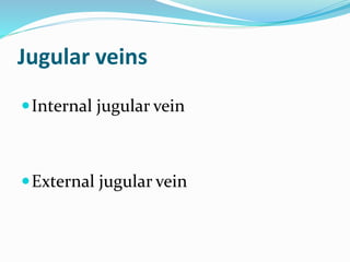 Jugular venous pressure | PPTX