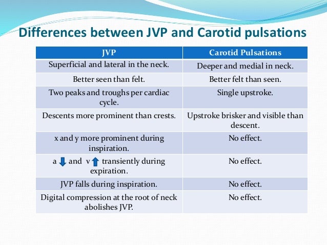 Jugular venous pressure