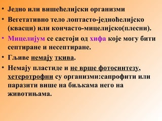 раздео Mykophyta(fungi) | PPT