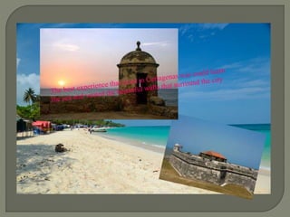 My last vacations | PPTX