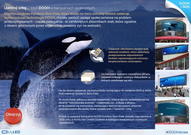 Case study DOOH campaigns | PPT