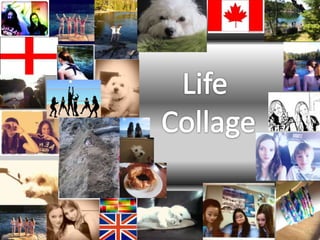My life blog powerpiont | PPTX