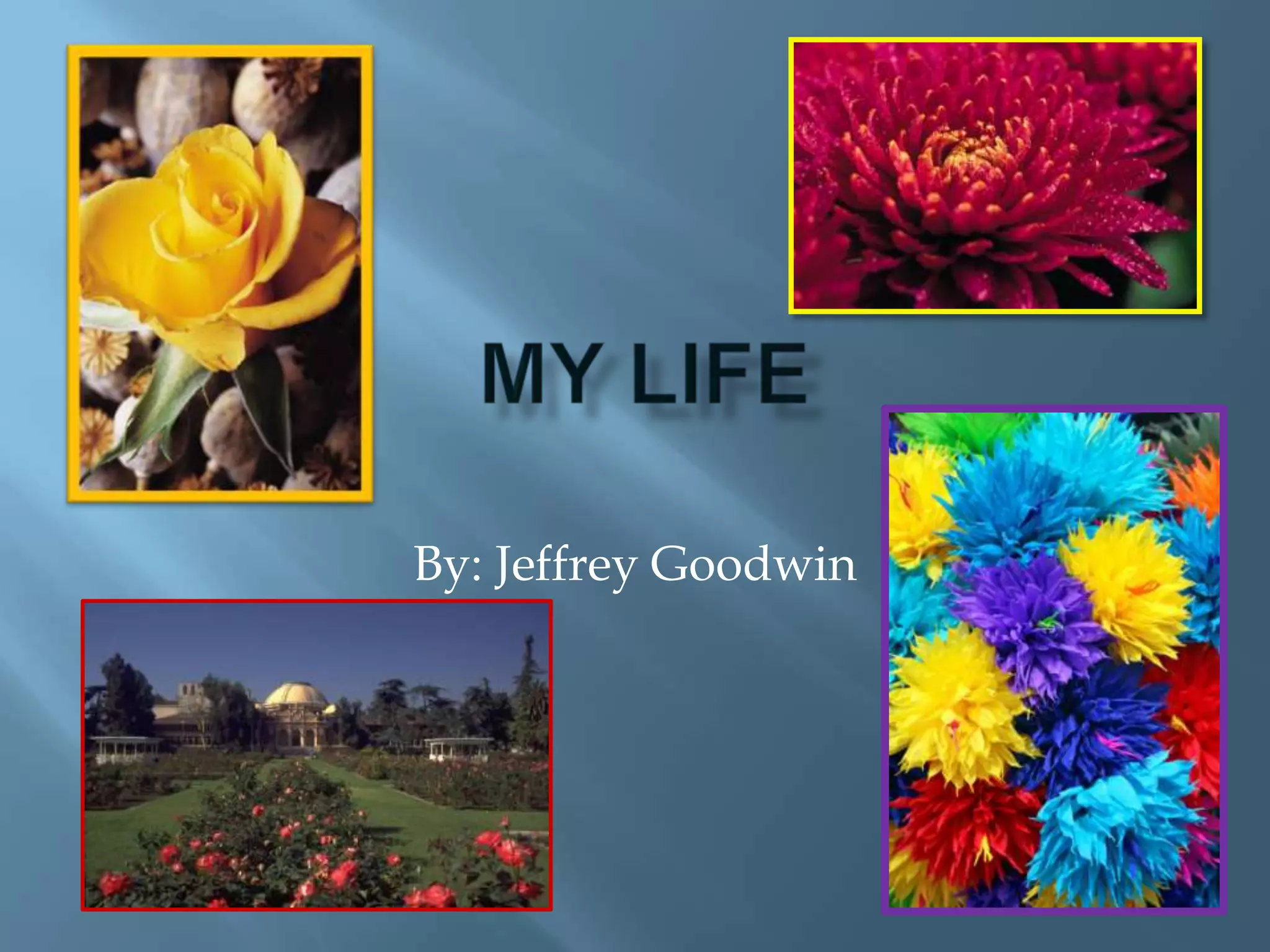 My Life In Pictures | PPTX