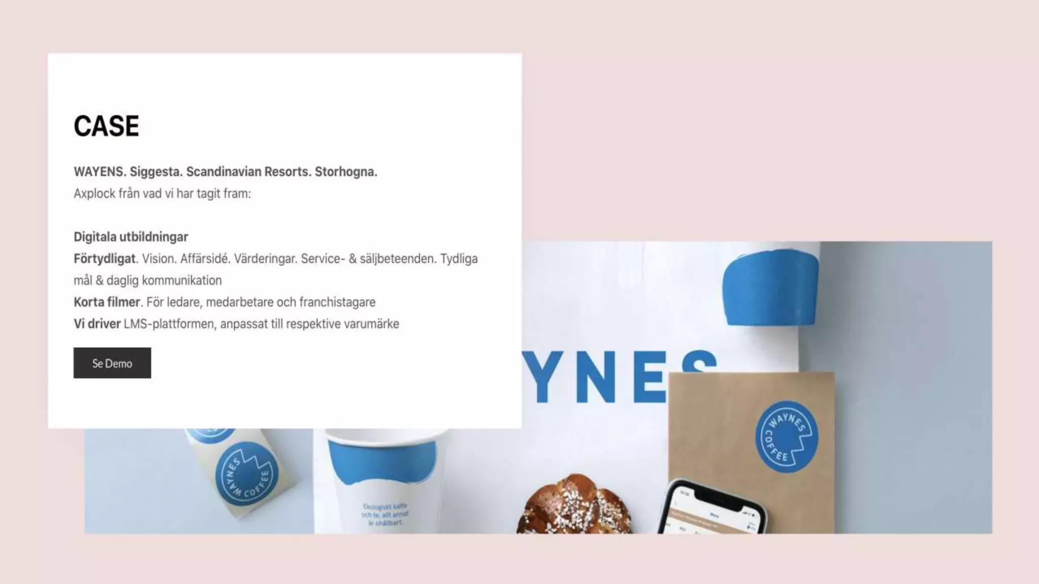 MYLMS presentation | PPTX