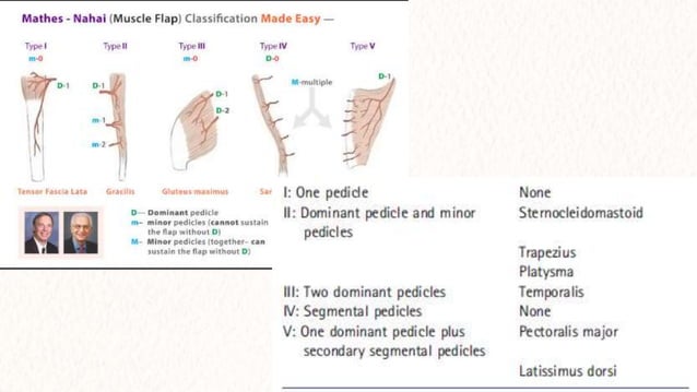 Local and regional flaps in head and neck.pptx