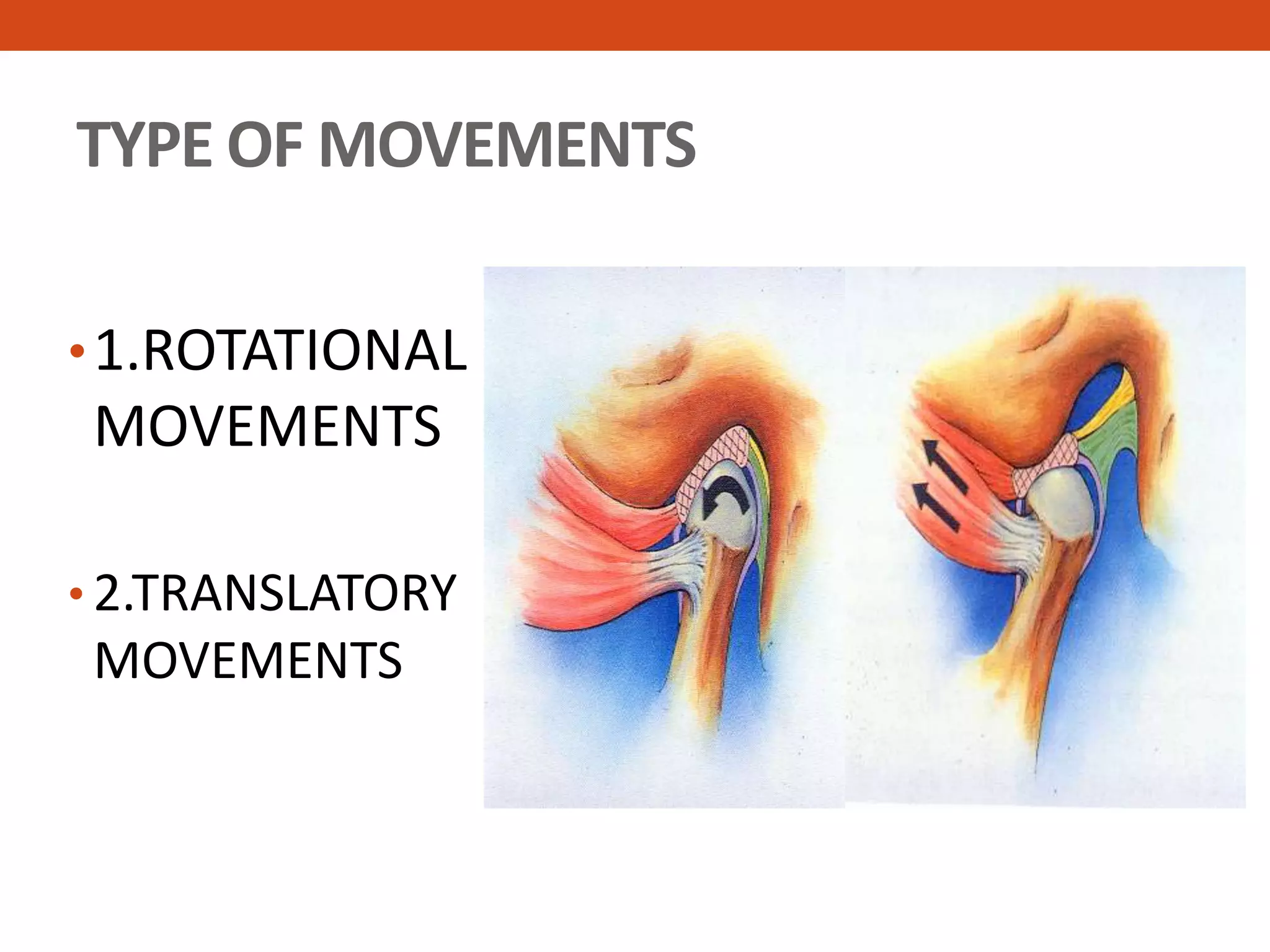 My mandibular movement final presentation | PPTX