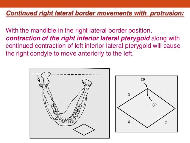 My mandibular movement final presentation