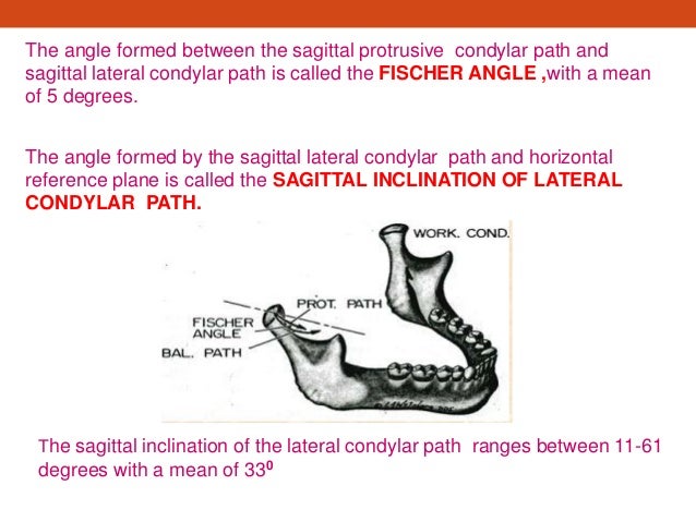 My mandibular movement final presentation