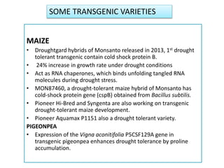 Breeding for improved drought tolerance in major crop (Maize, Sorghum ...
