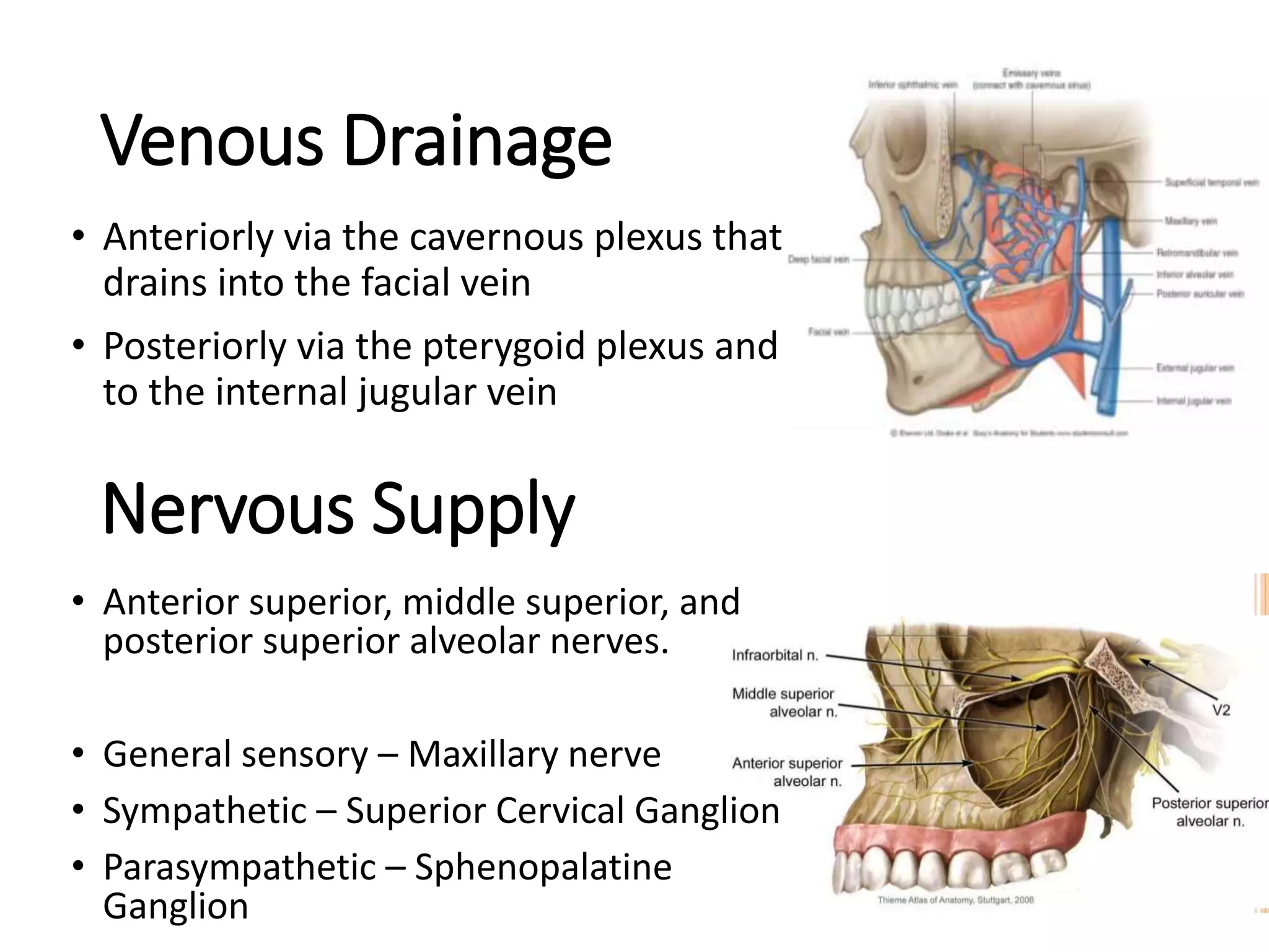 Maxillary sinus by Dr. Shivani Taank | PPTX