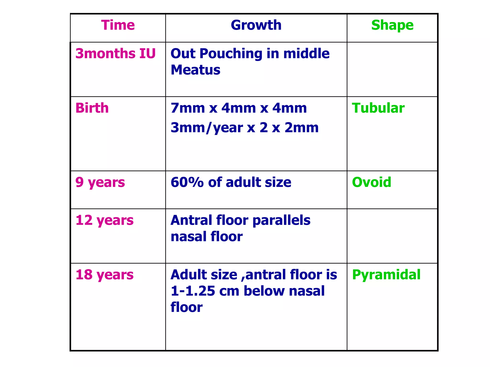 Maxillary sinus by Dr. Shivani Taank | PPTX