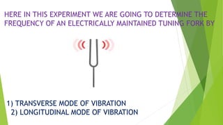 meldays experiment | PPTX