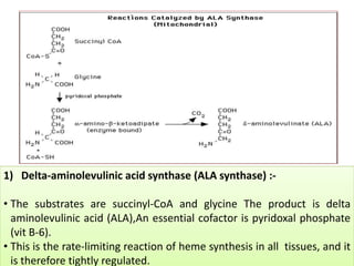 Porphyrin Metabolism | PPTX