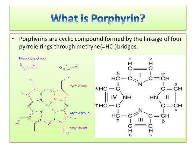 Porphyrin Metabolism