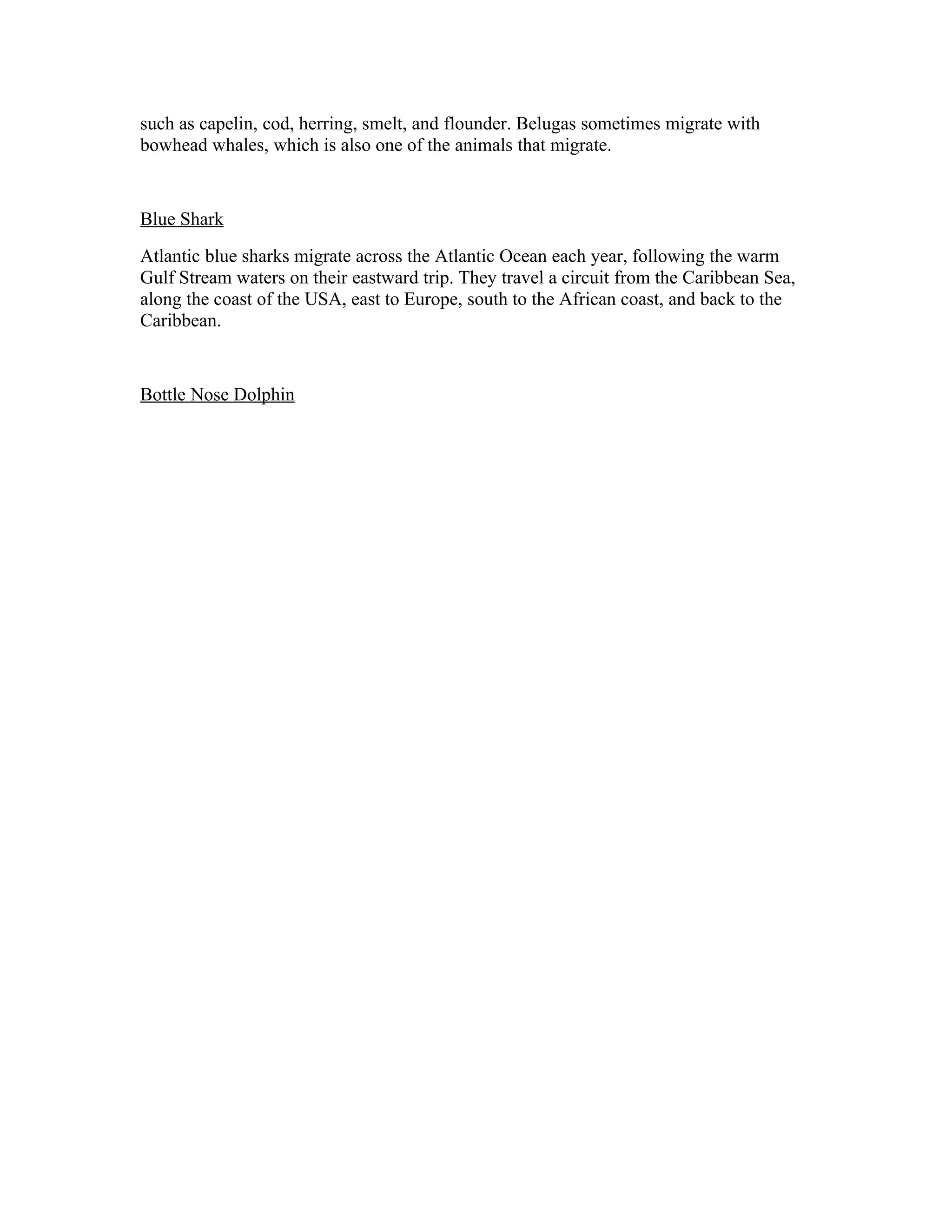 My Migration Project | RTF