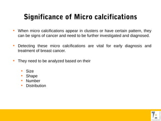 Mymmo | PPT | Photo Editing Software | Computer Software and Applications
