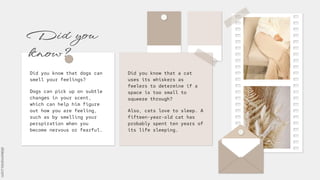 Mood board - Capture your unique vision with a collage of images, text ...