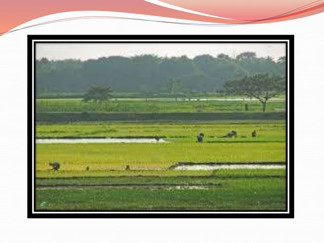 My mother land | PPT