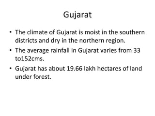 My motherland gujarat | PPT