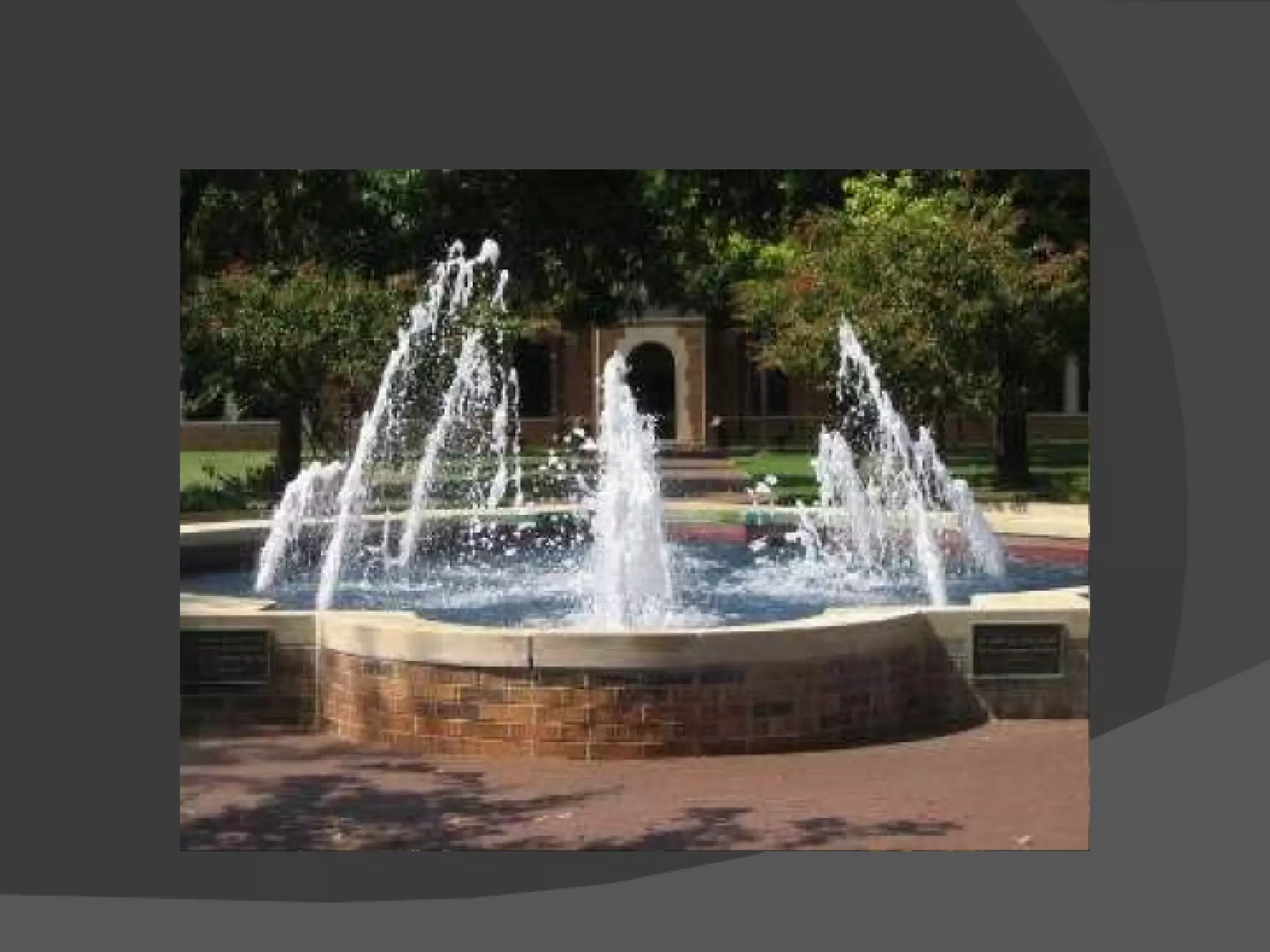 My msu pictures marissa | PDF