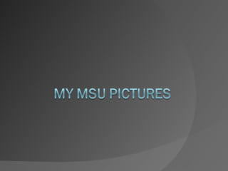 My msu pictures marissa | PDF