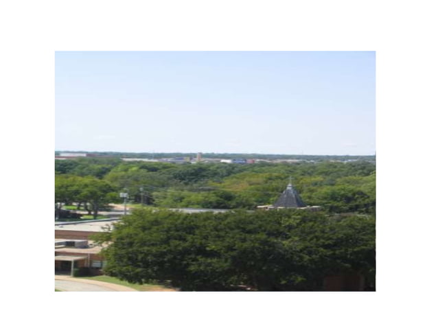 My msu picturesslideshow | PPT