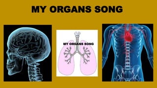 My muscles and organs powepoint | PPTX