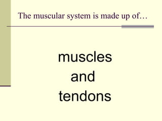 My muscular system_powerpoint | PPT | Bodybuilding | Sports