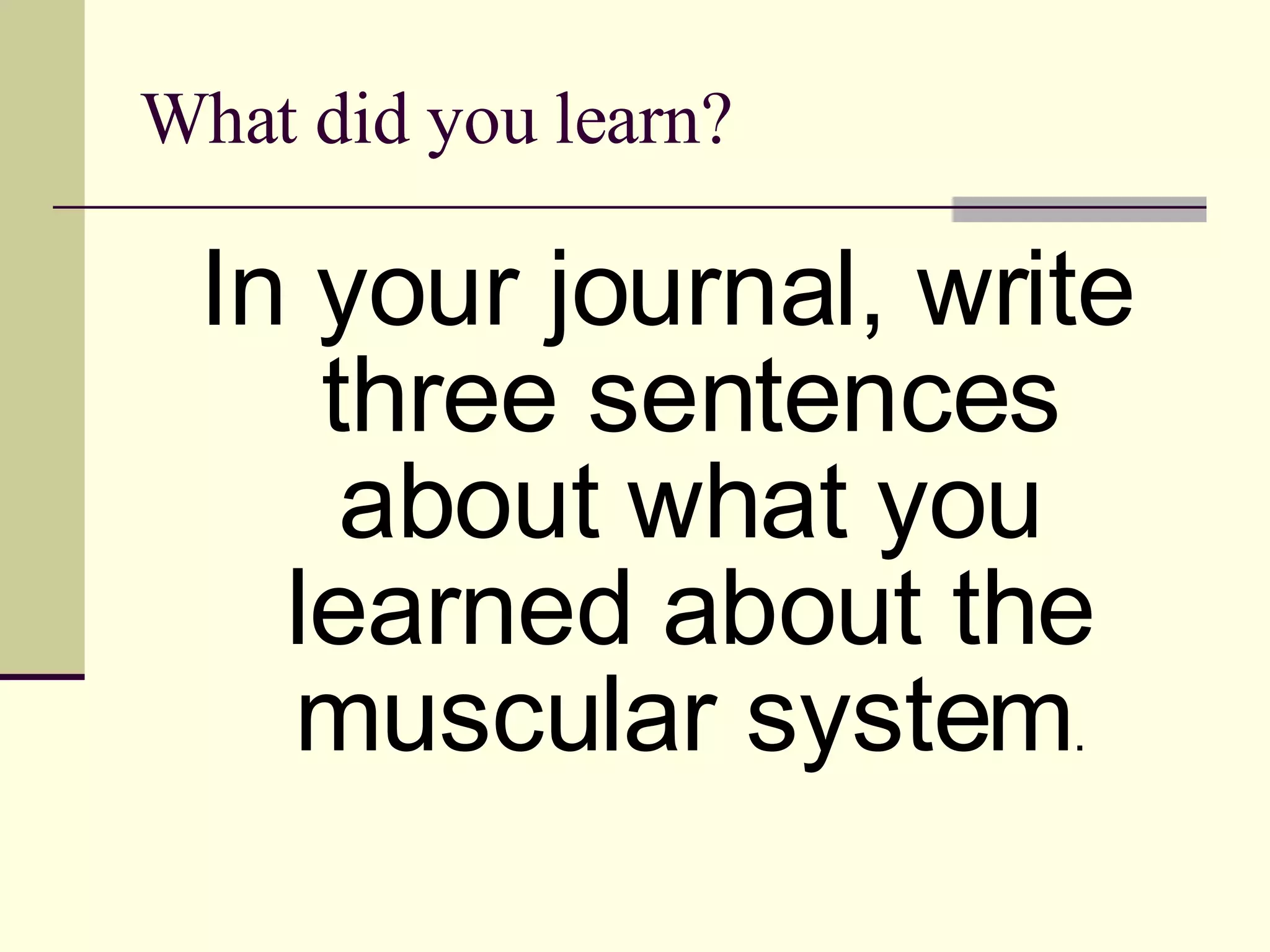My Muscular System Powerpoint | PPT