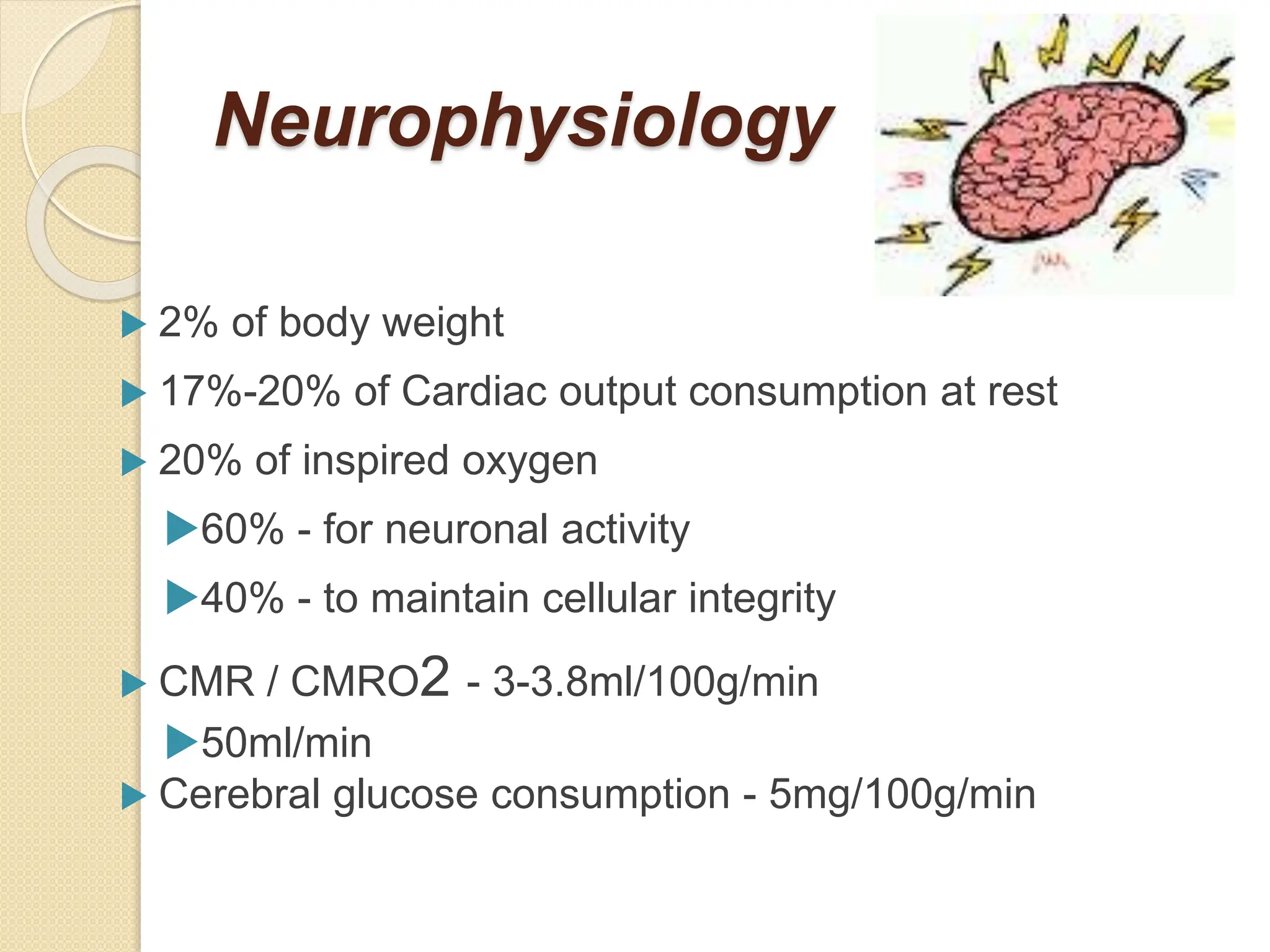 Neurophysiology and anesthesia point of view | PPTX