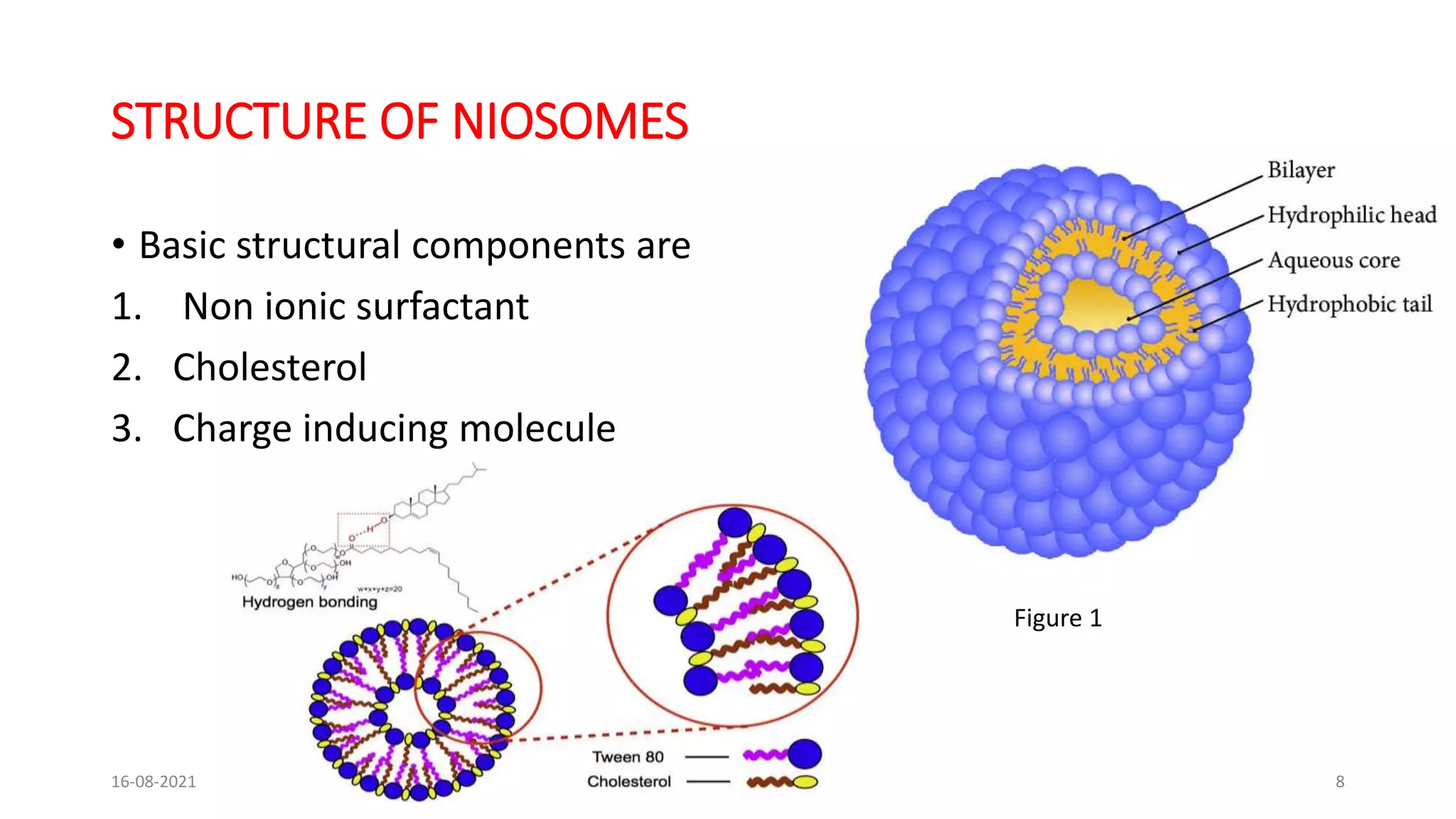 BASIC AND ADVANCE CONCEPT OF NIOSOME | PPTX