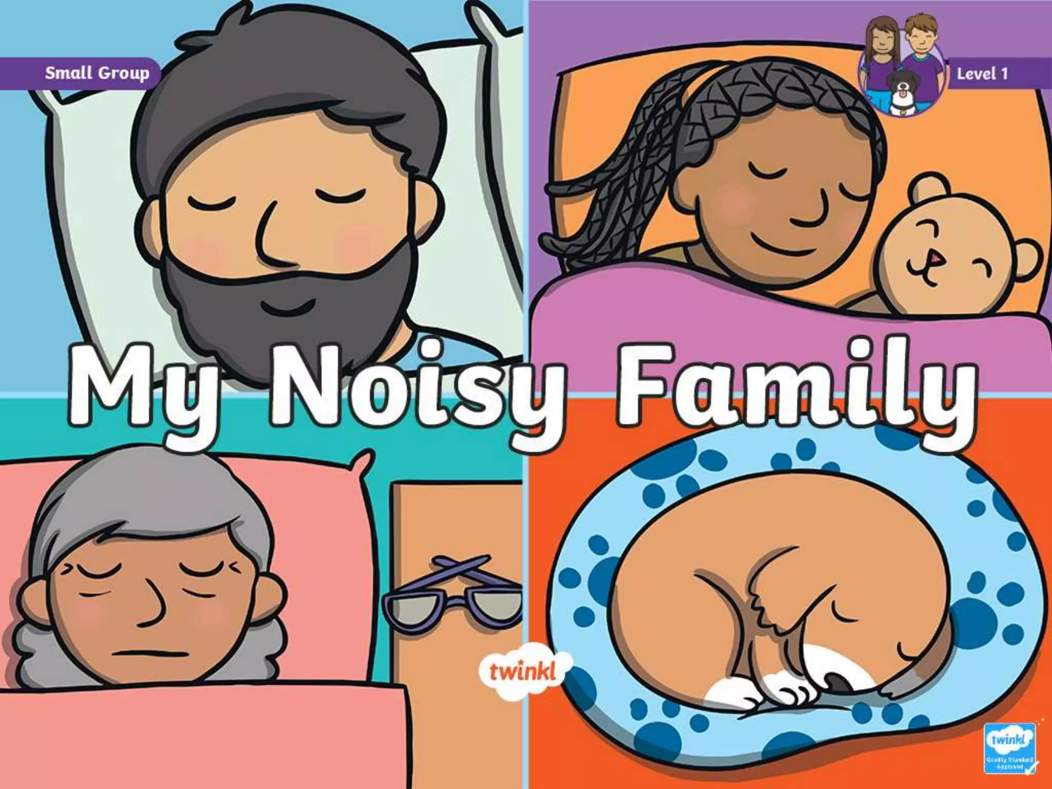 My Noisy Family PowerPoint.pptx