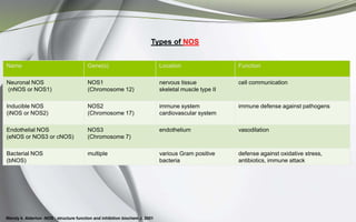 nitric oxide synthases | PPTX
